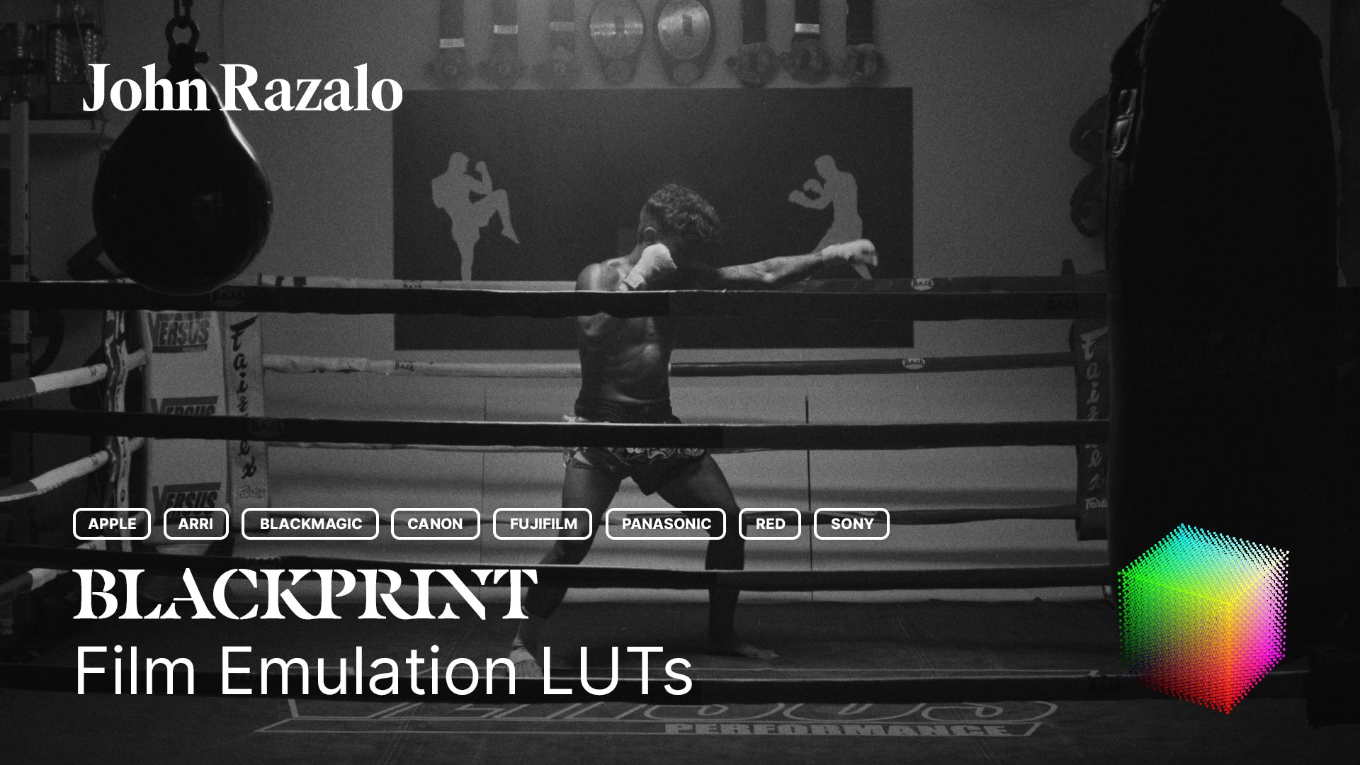 LUTs – John Razalo Visuals